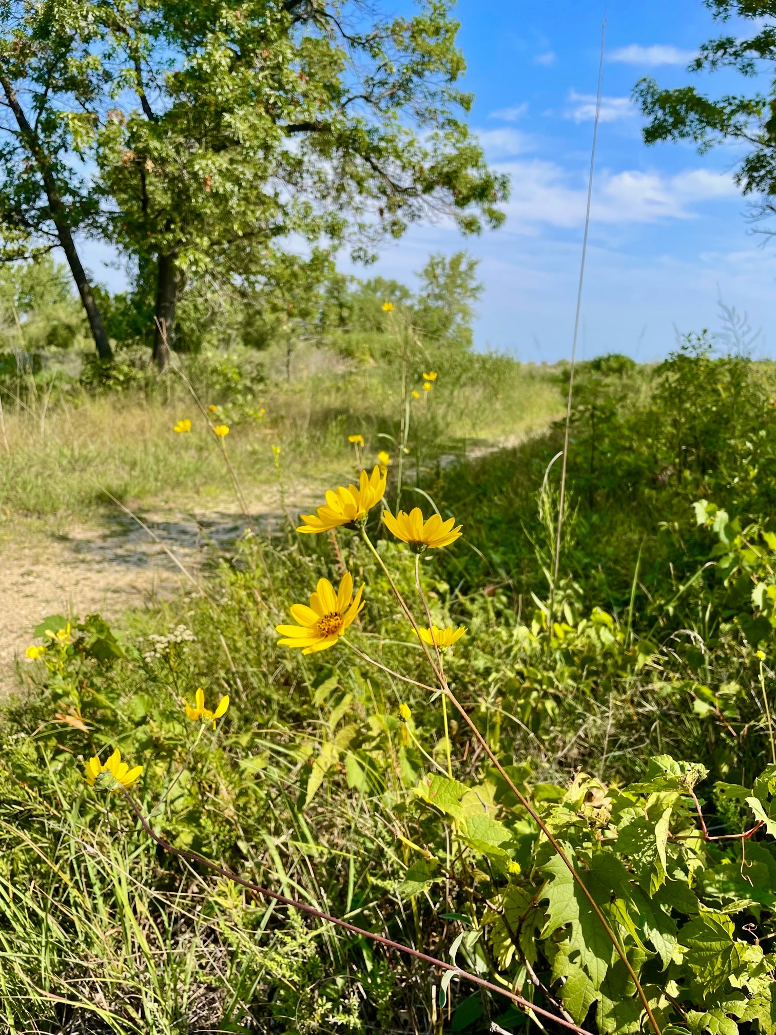 Chapter Events – Lake To Prairie