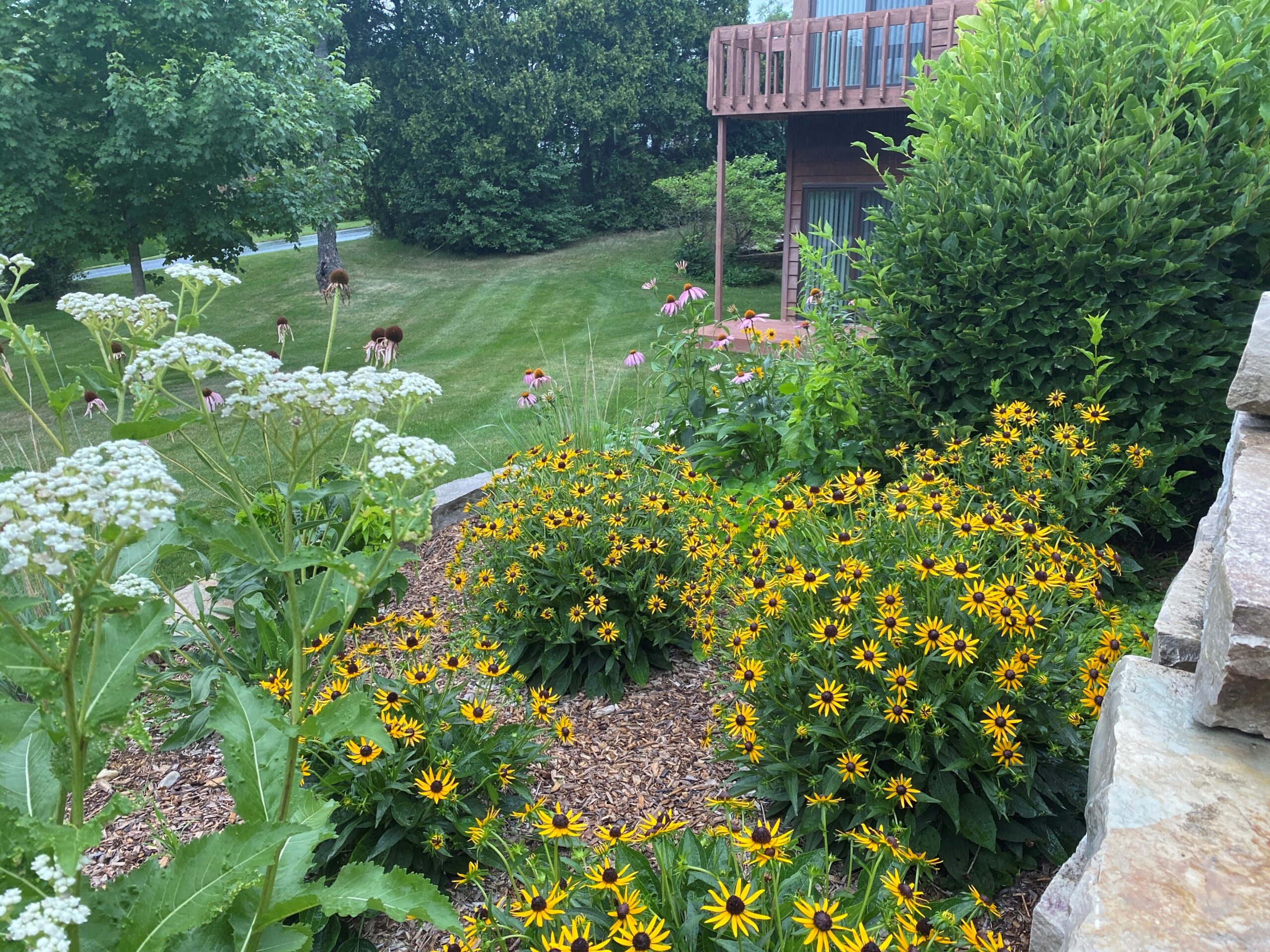 Seasonal Color with Native Plants – Lake To Prairie