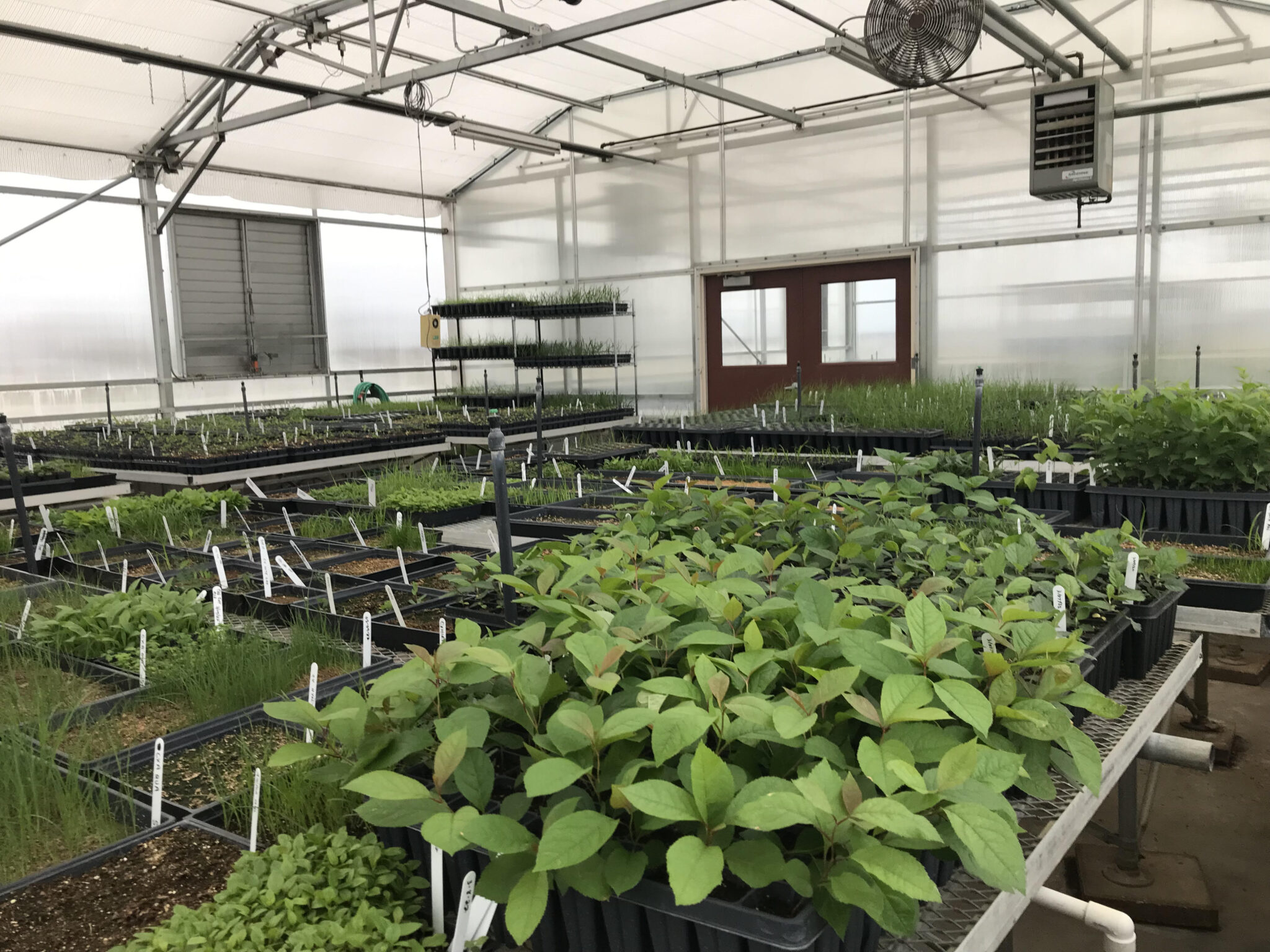 Forest Preserve Native Seed Nursery Tour and Seed Collecting – Wild ...